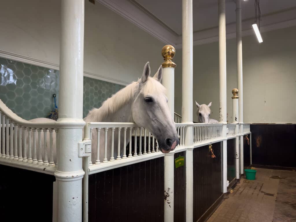 The Royal Mews, Buckingham Palace - Tourist Pass